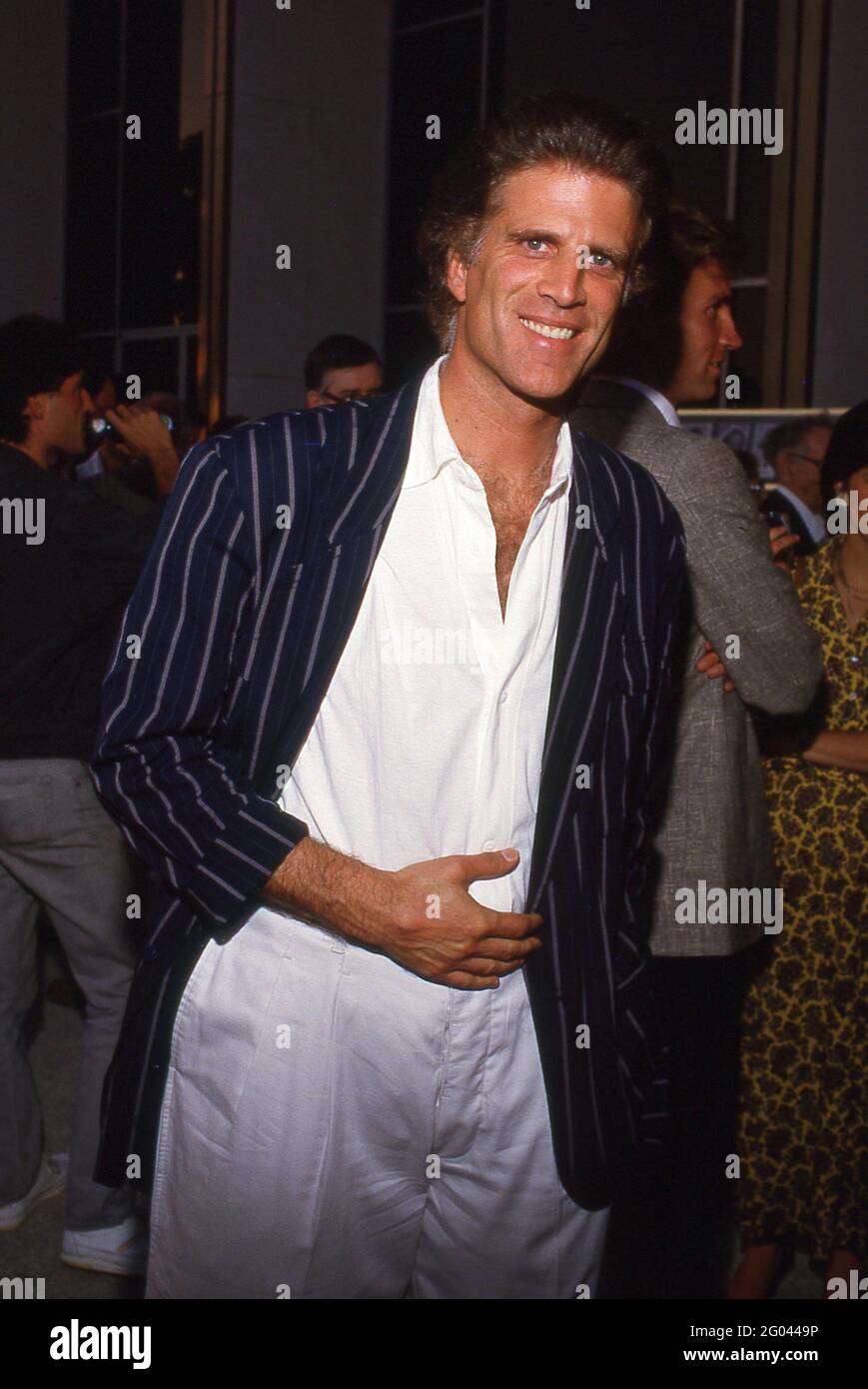Ted Danson Circa 1980's Credit: Ralph Dominguez/MediaPunch Stock Photo ...