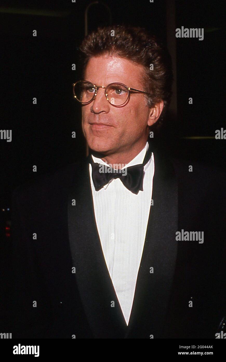 Ted Danson Circa 1980's Credit: Ralph Dominguez/MediaPunch Stock Photo ...