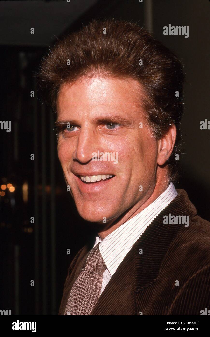 Ted Danson Circa 1980's Credit: Ralph Dominguez/MediaPunch Stock Photo ...