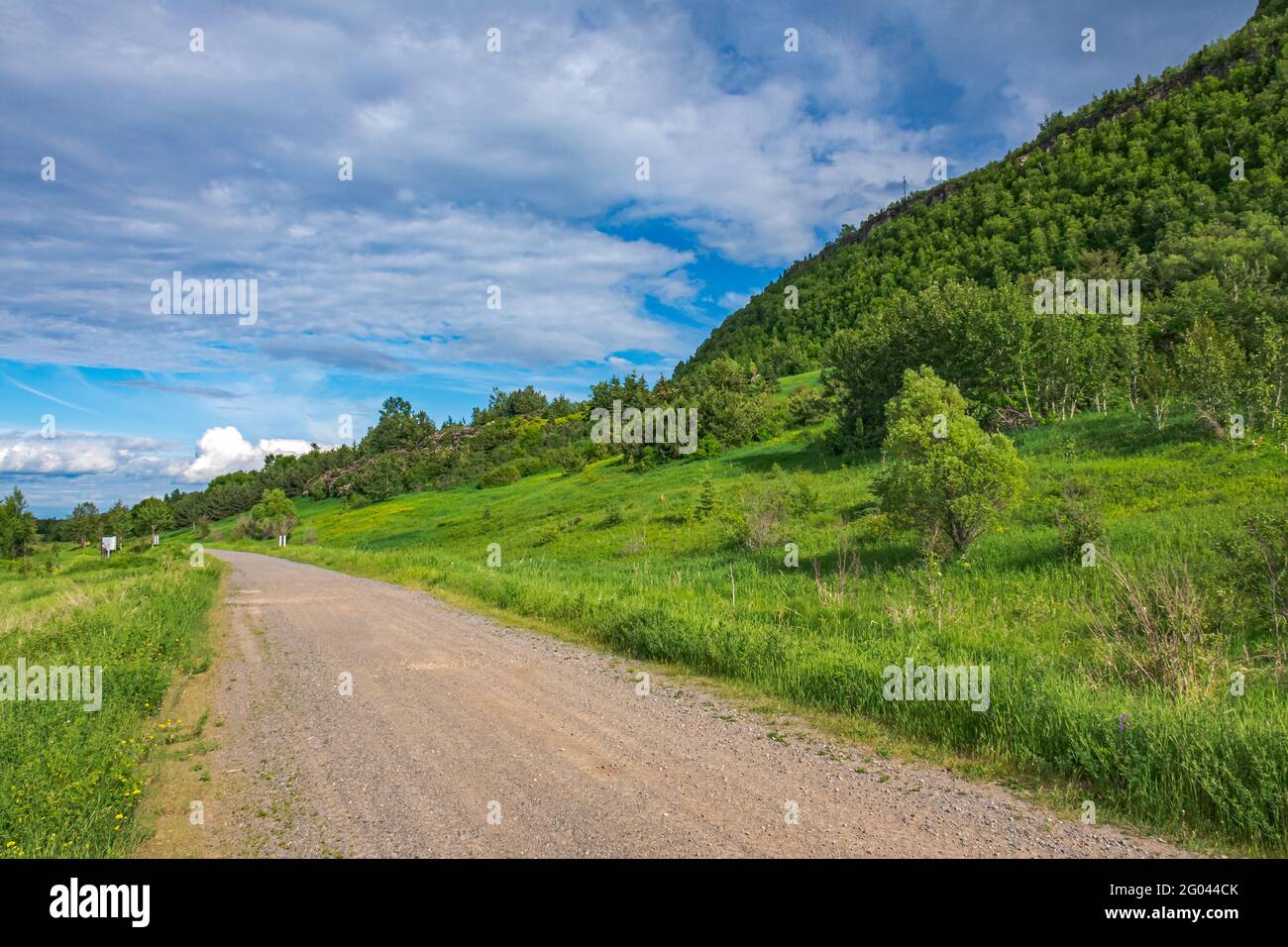 Mount forest ontario hi-res stock photography and images - Alamy