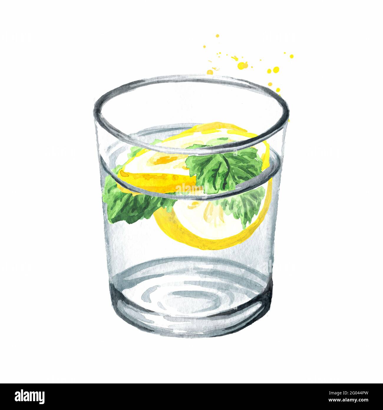 Glass of purified drinking water with fresh lemon slices and mint leaf ...