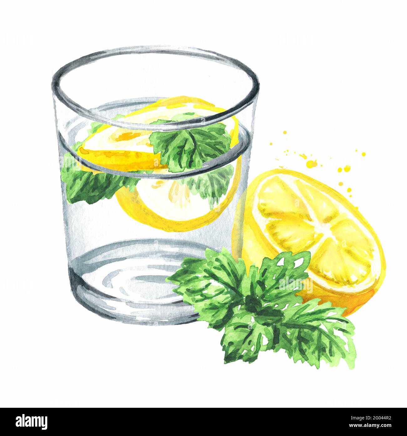 Glass of purified drinking water with fresh lemon and mint . Hand drawn ...