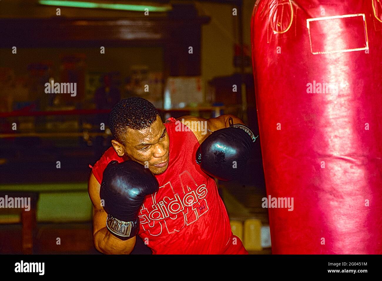 Mike Tyson training at Cus D'Amato's gym in Catskill, NY in 1986 Stock ...