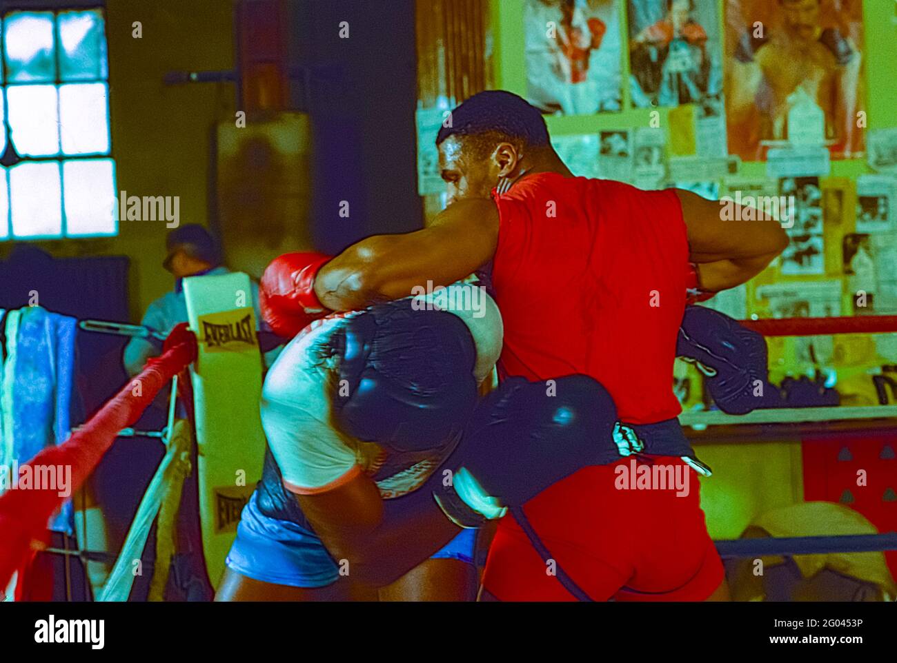 Cus d'amato's boxing gym hi-res stock photography and images - Alamy