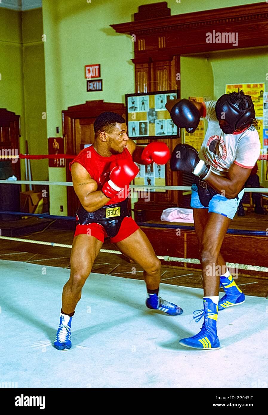 Mike Tyson Damato Tyson Mike Tyson: For Better Or Worse. Mike Tyson