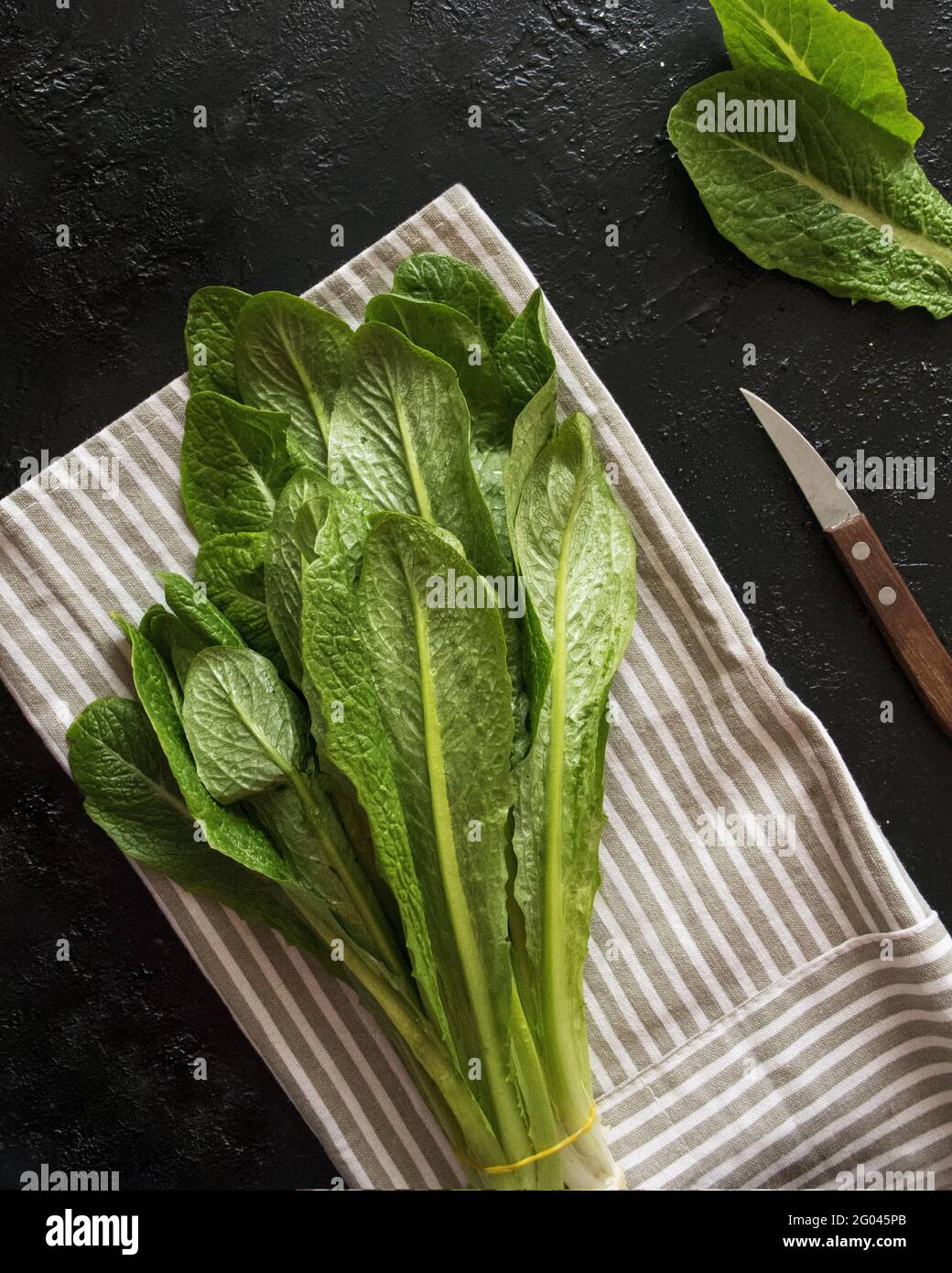 Kitchencloth hi-res stock photography and images - Alamy