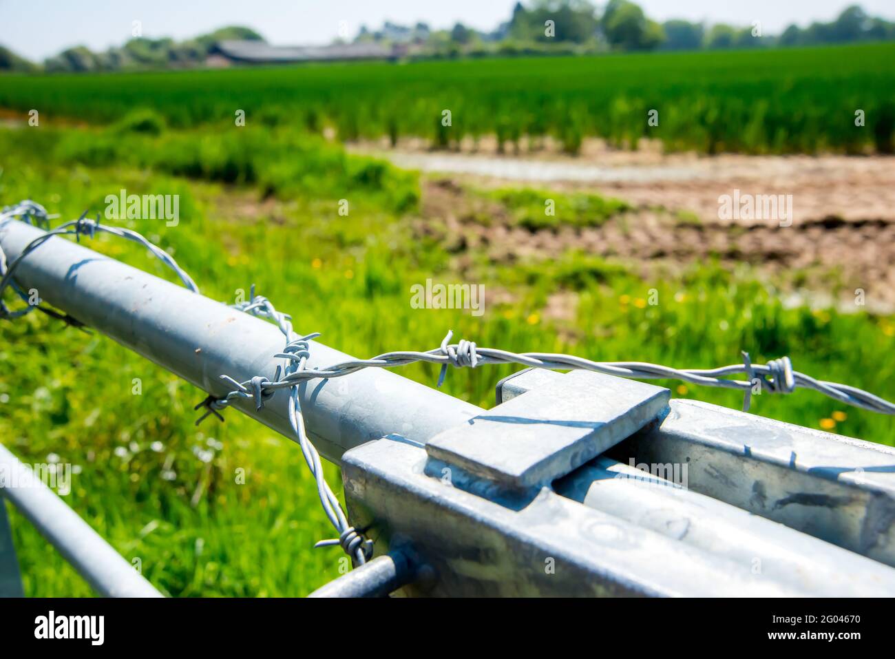 Barbed Wire on Gate near Field Stock Photo - Alamy