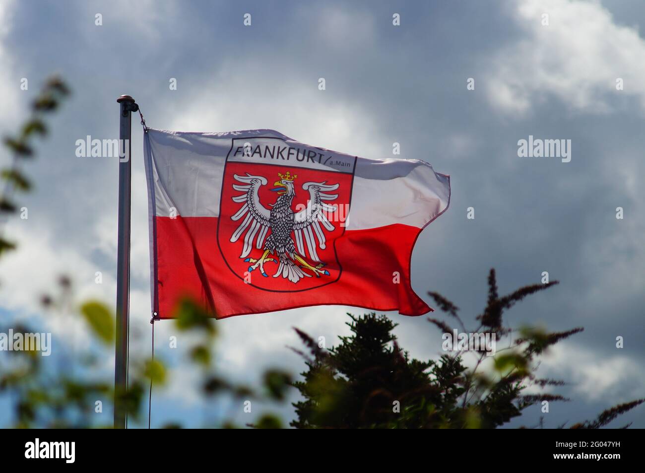 The flag of the city of Frankfurt flies in an allotment garden Stock ...