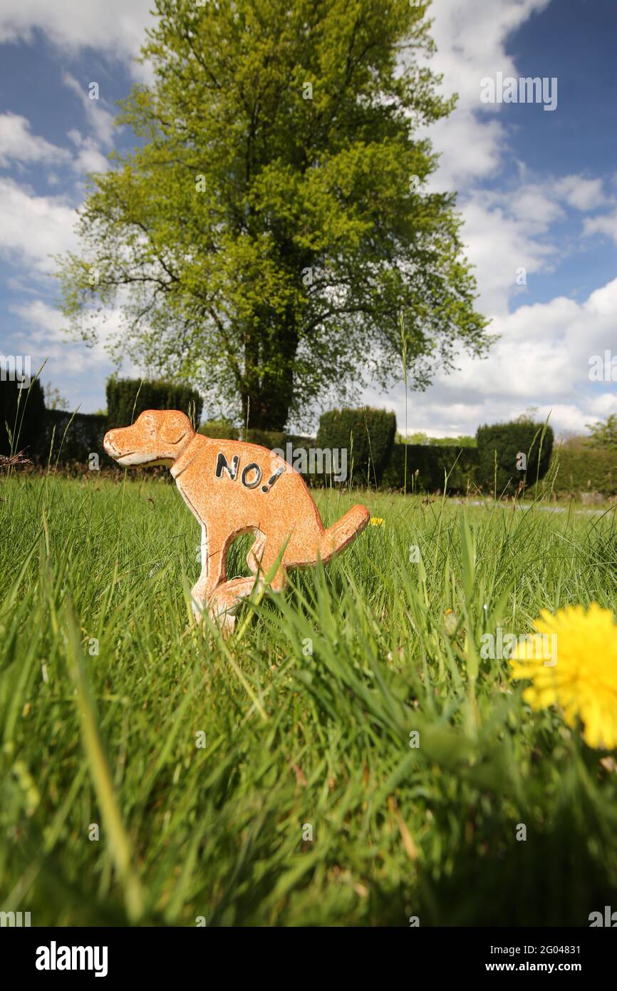 Cut out shape of a dog doing a poop, warning people not to let their ...