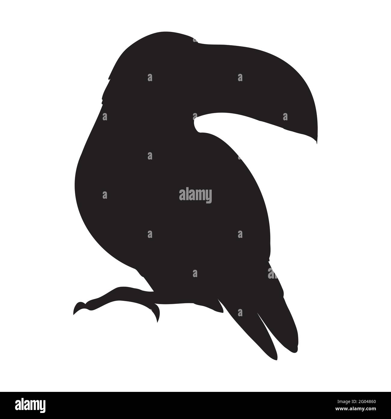 Vector illustration of a toucan silhouette isolated on a white ...