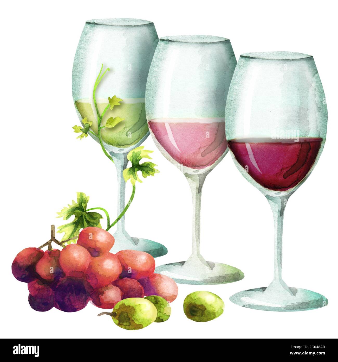 Colors of wine Stock Photo - Alamy