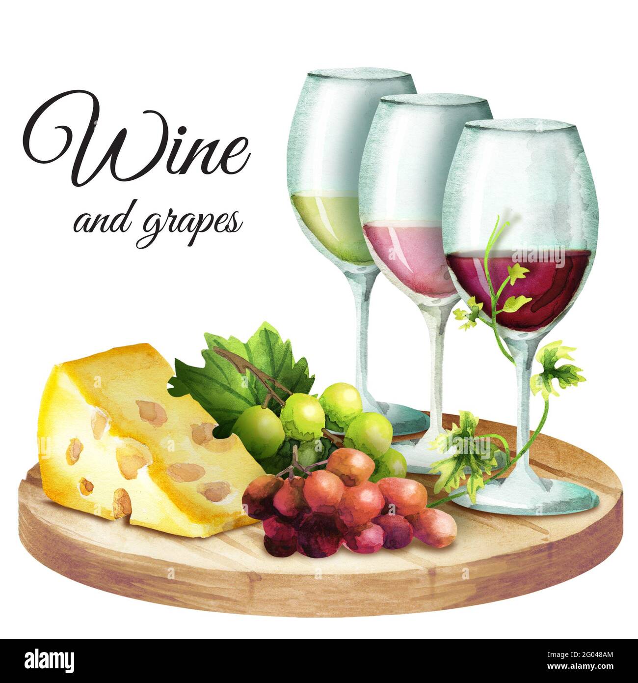 Colors of wine and cheese. Waretcolor Stock Photo - Alamy