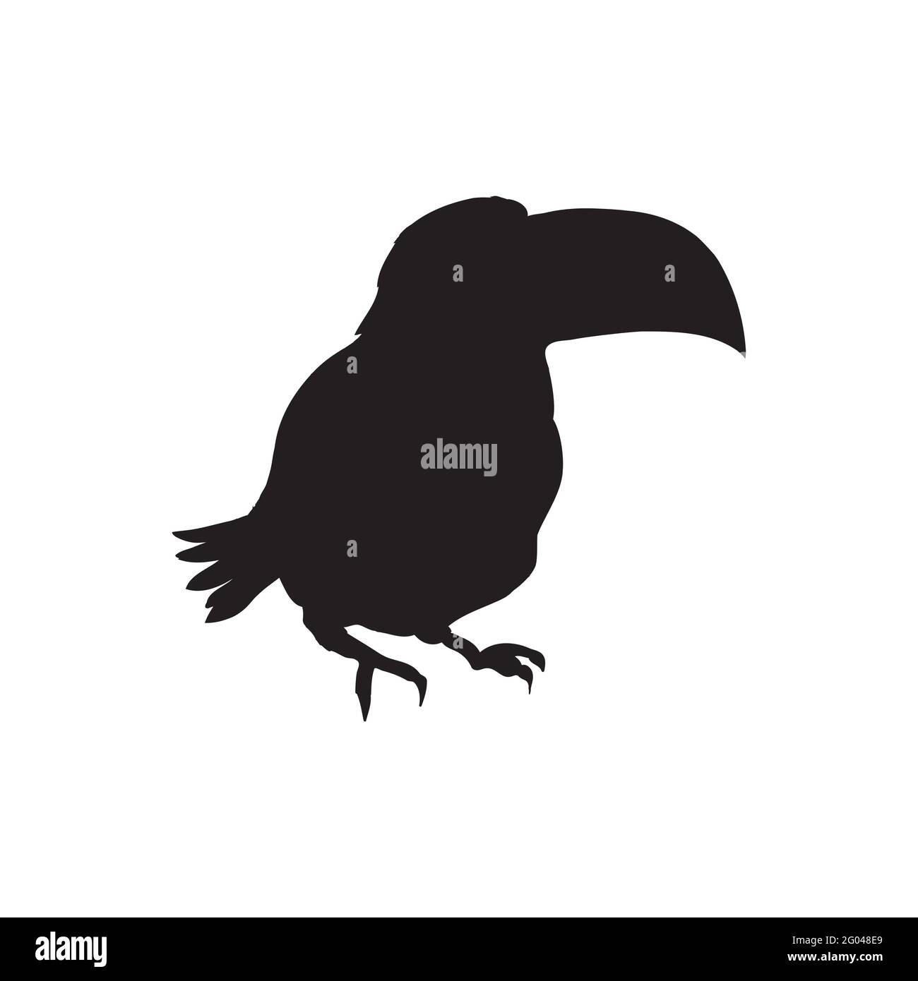 Vector illustration of a toucan silhouette isolated on a white ...