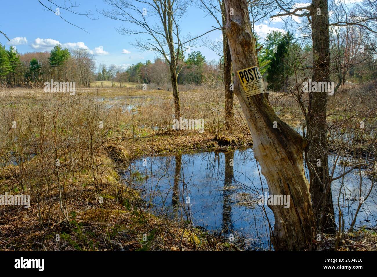 A small pond on Lincoln Road, Phillipston, Massachusetts Stock Photo ...