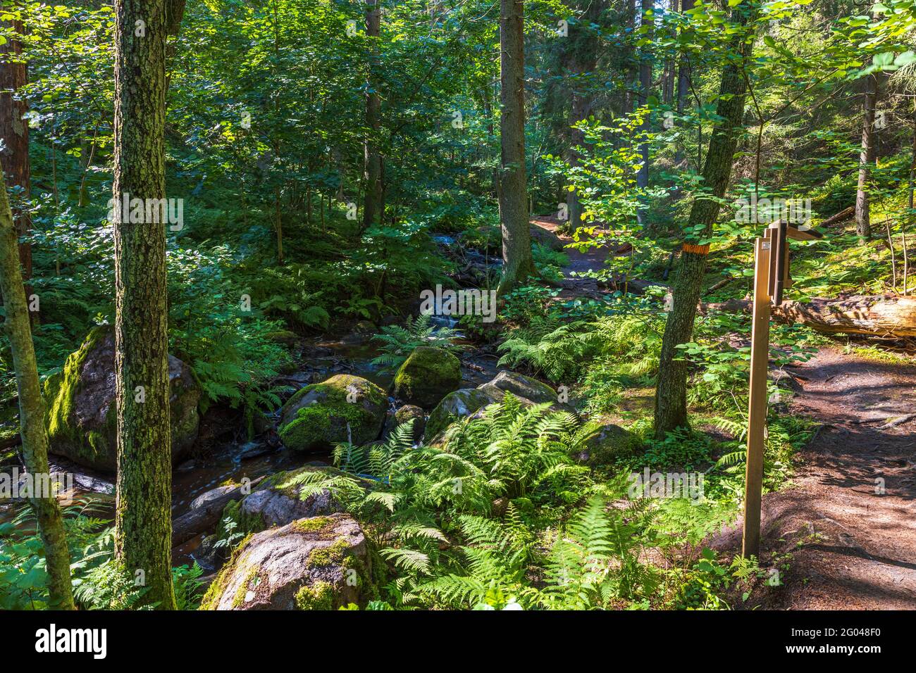 Beautiful view of stream on rocky landscape. Beautiful nature landscape ...