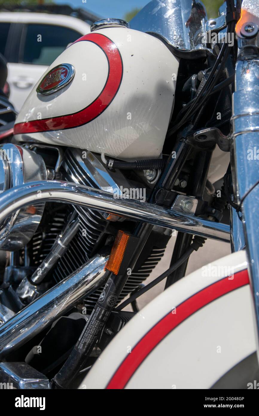 Harley Davidson motorcycles, like this one in Bishop, CA, USA, are ...