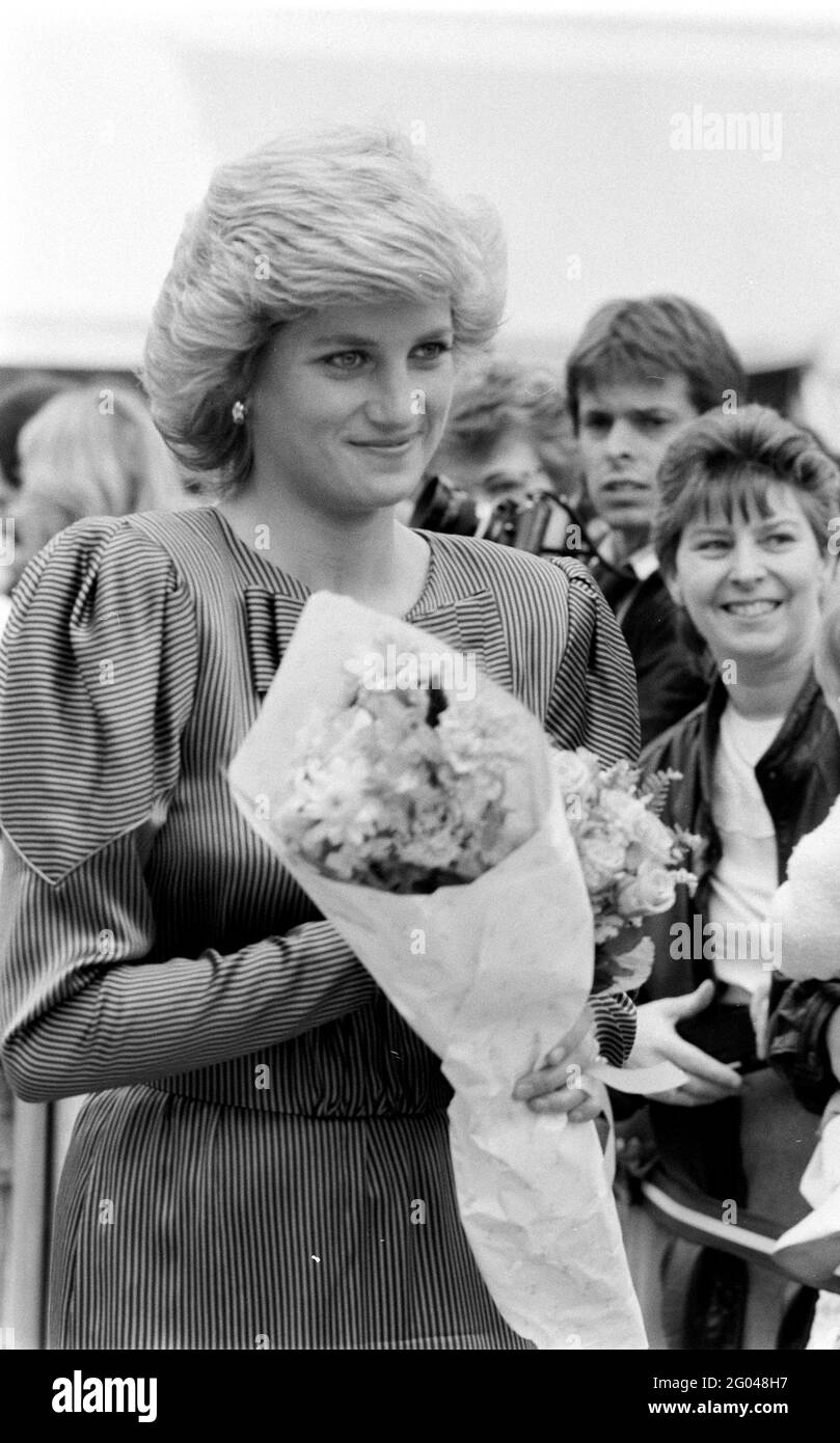 Princess dairy hi-res stock photography and images - Alamy