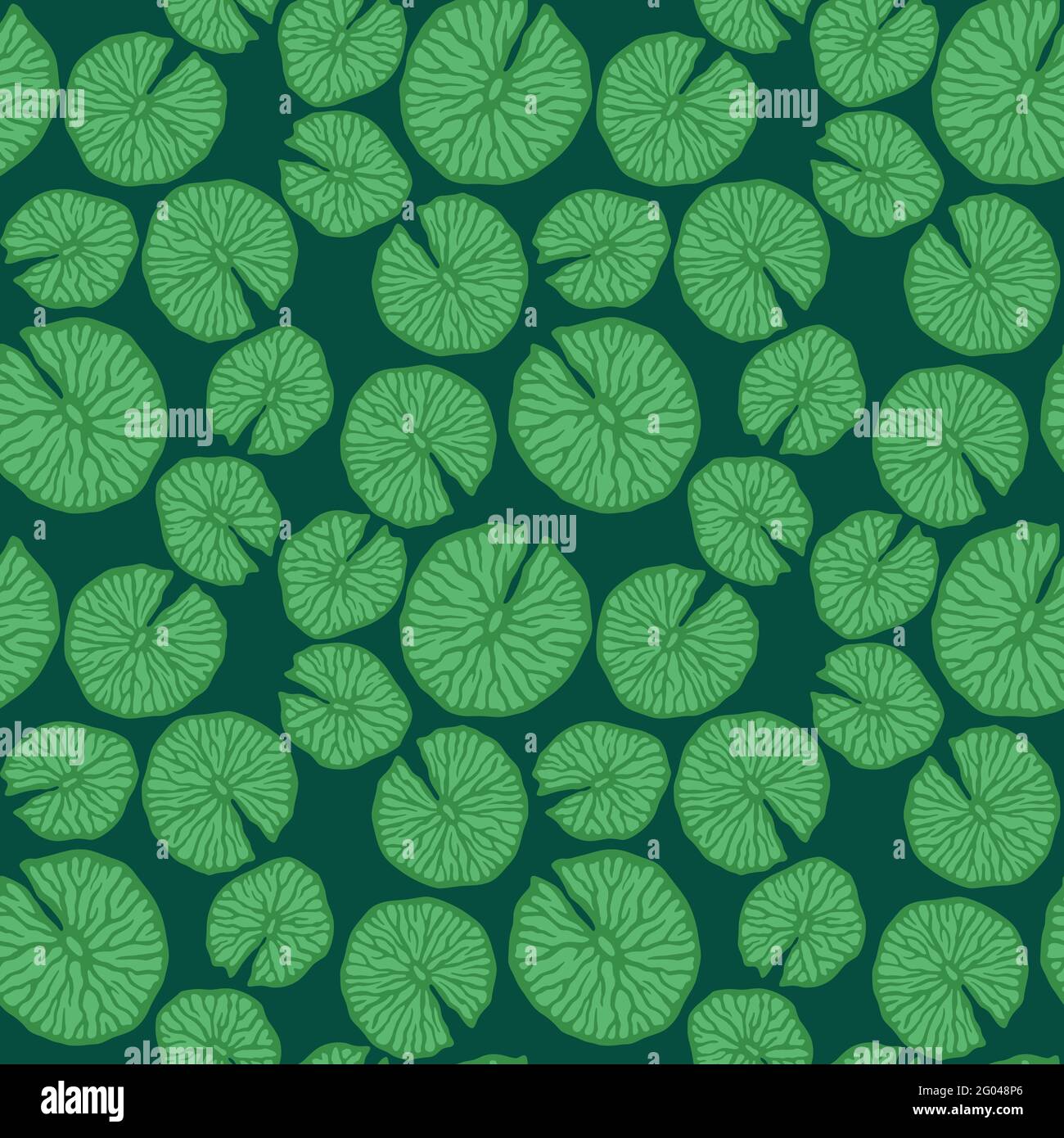 Vector abstract doodle seamless pattern of water lilies. Hand drawn ...