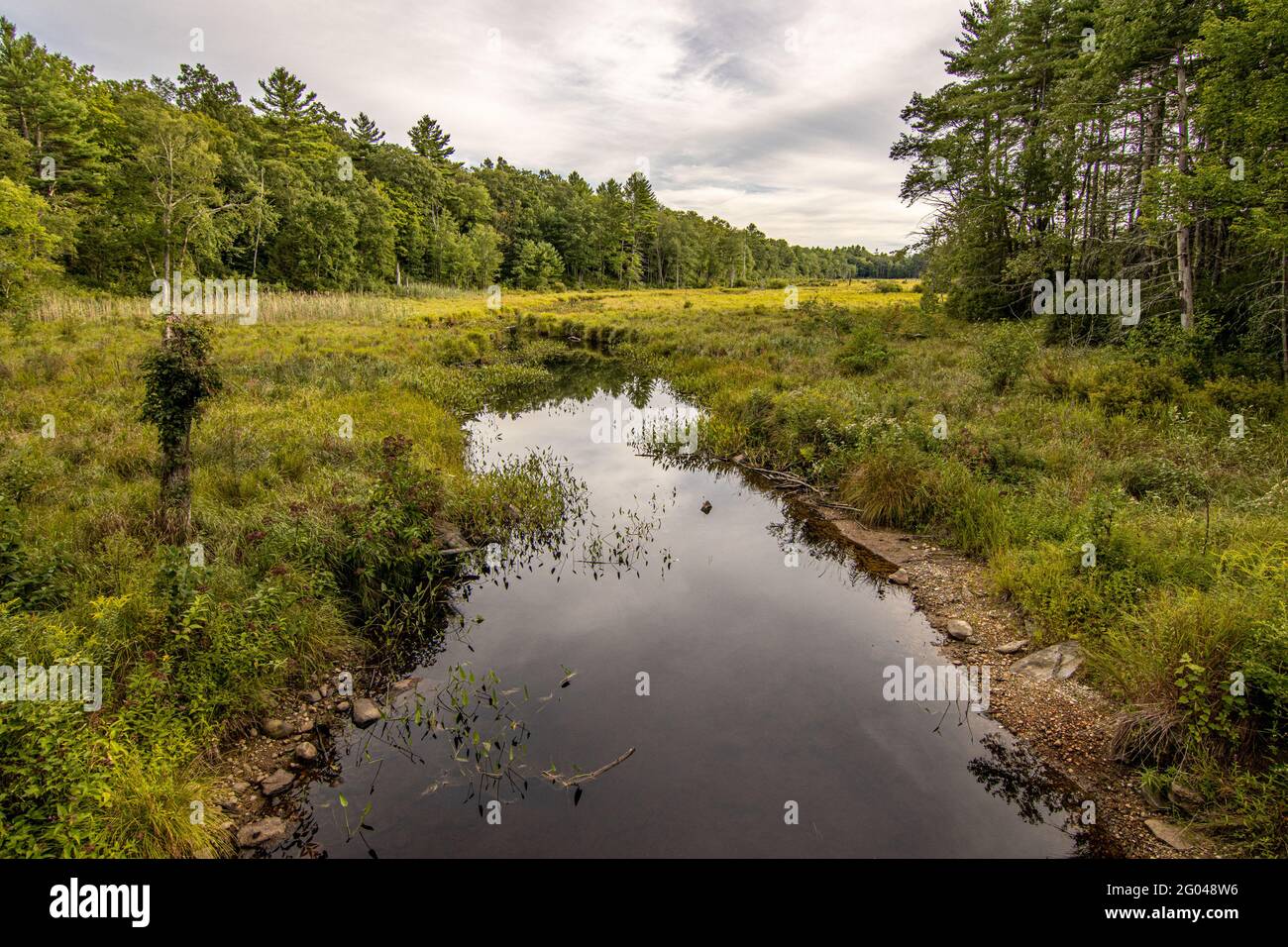 The East Branch of the Swift River in Petersham, Massachusetts Stock ...