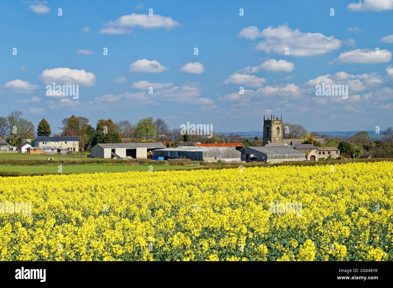 UK, West Yorkshire, Rapeseed Field looking towards the village of ...