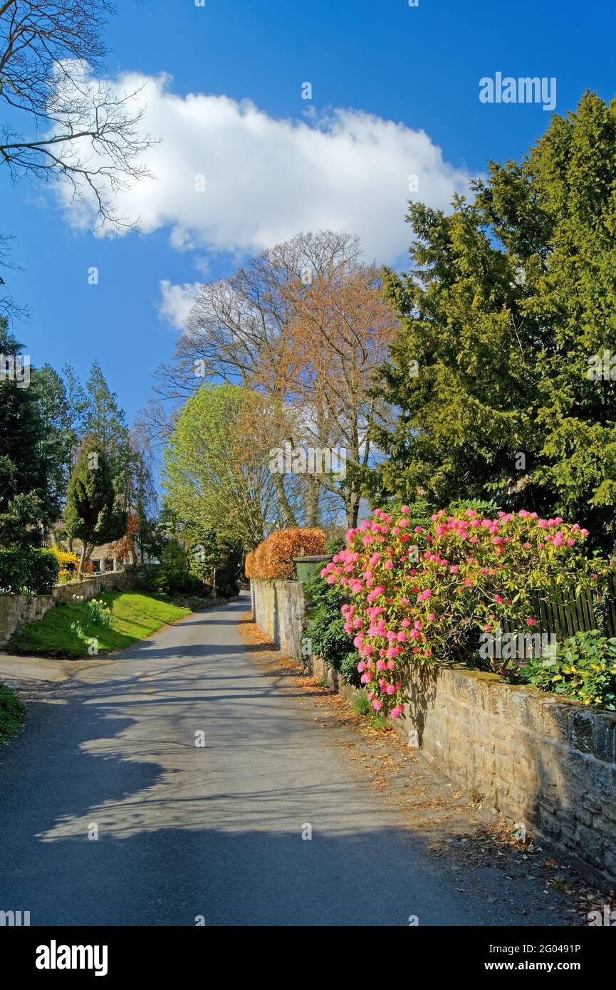 Molly hurst lane hi-res stock photography and images - Alamy