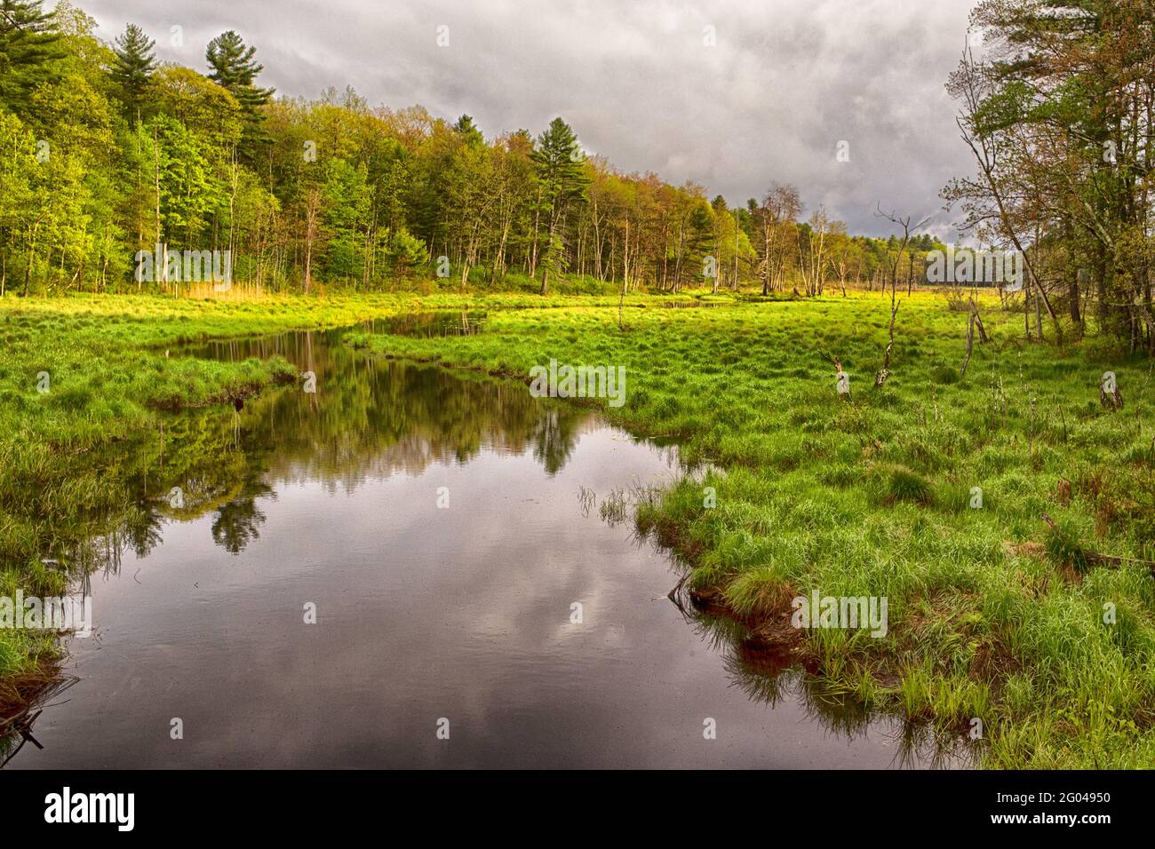 East branch of the swift river hi-res stock photography and images - Alamy