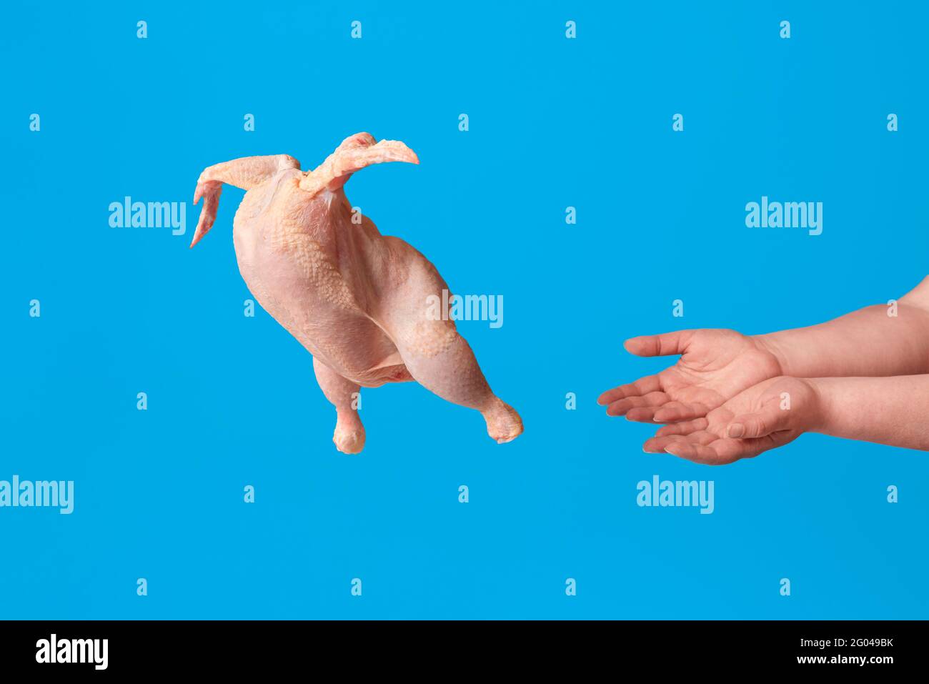 Dancing Raw Chicken