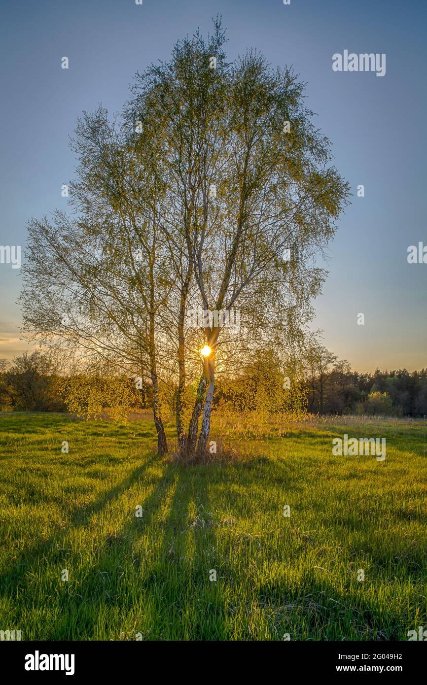 River delta bird's eye hi-res stock photography and images - Alamy