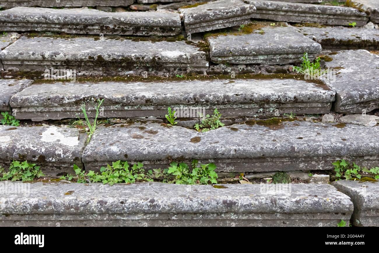 Green grass on the old stairs. Old stone stairs. Ancient stairs cracked ...
