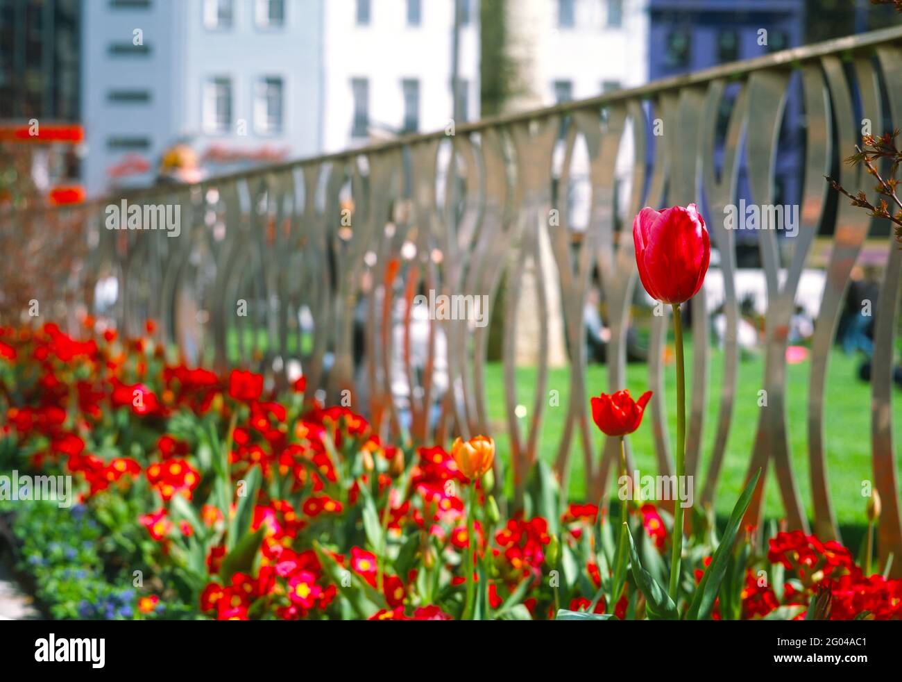 Leicester square garden hi-res stock photography and images - Alamy