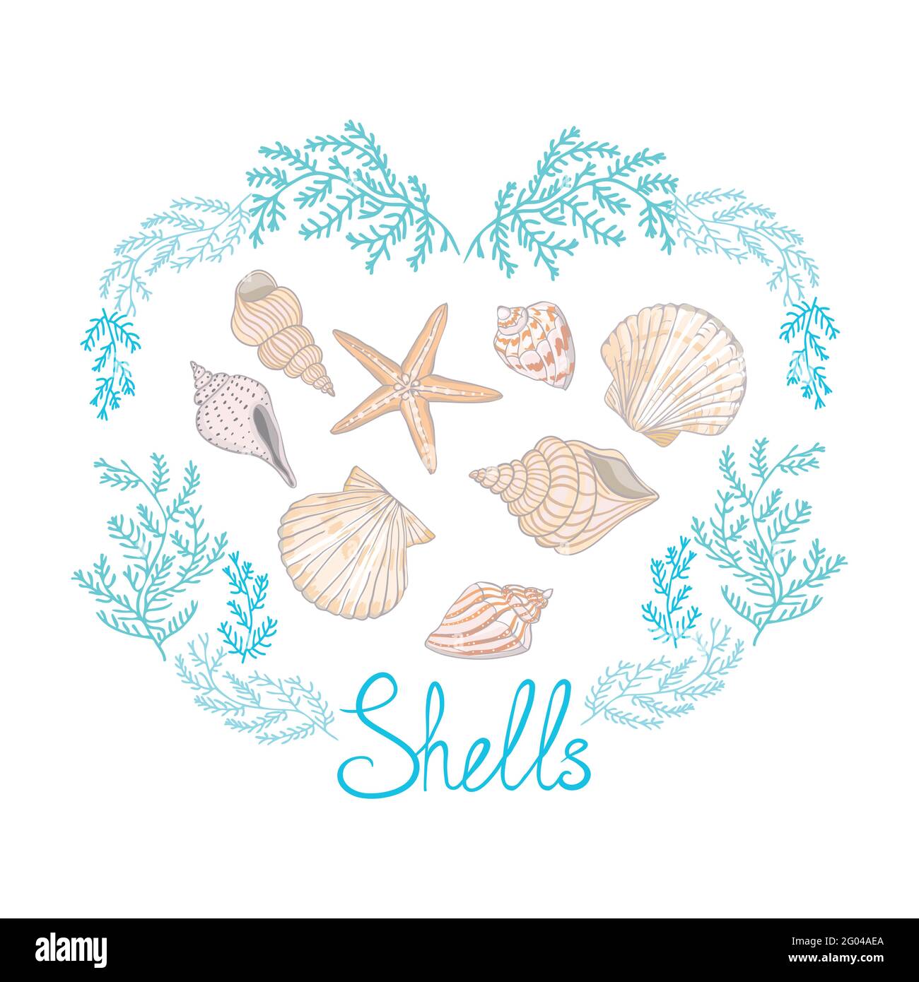 Shell yeah vector illustration with seashell and lettering. Summer ...