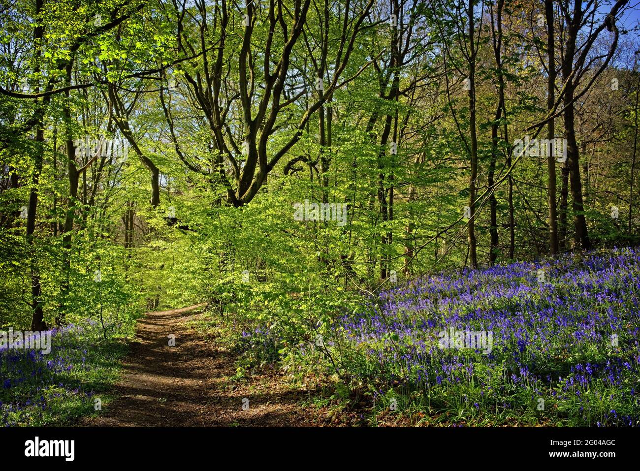 Woolley woods hi-res stock photography and images - Alamy