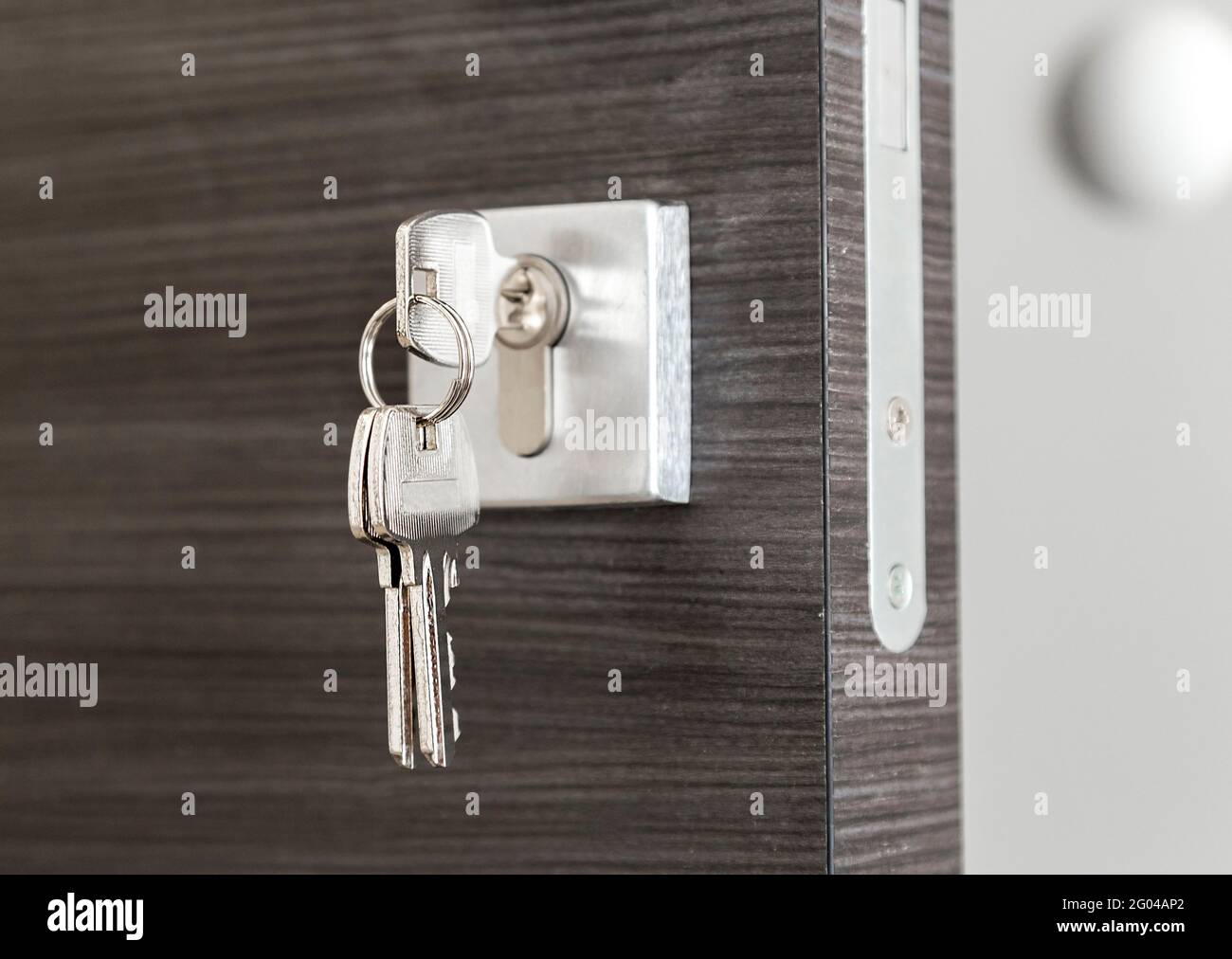 Gray lock hi-res stock photography and images - Alamy