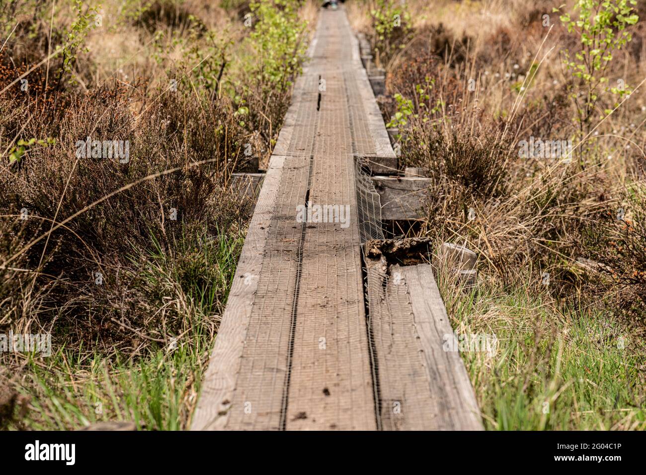 Broken plank in a wooden boardwalk Stock Photo - Alamy