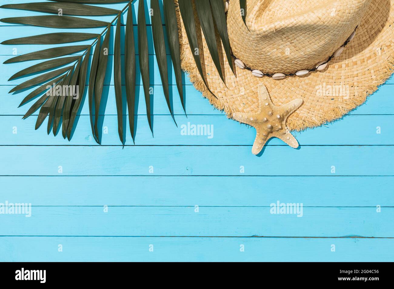 Chico palm hi-res stock photography and images - Alamy
