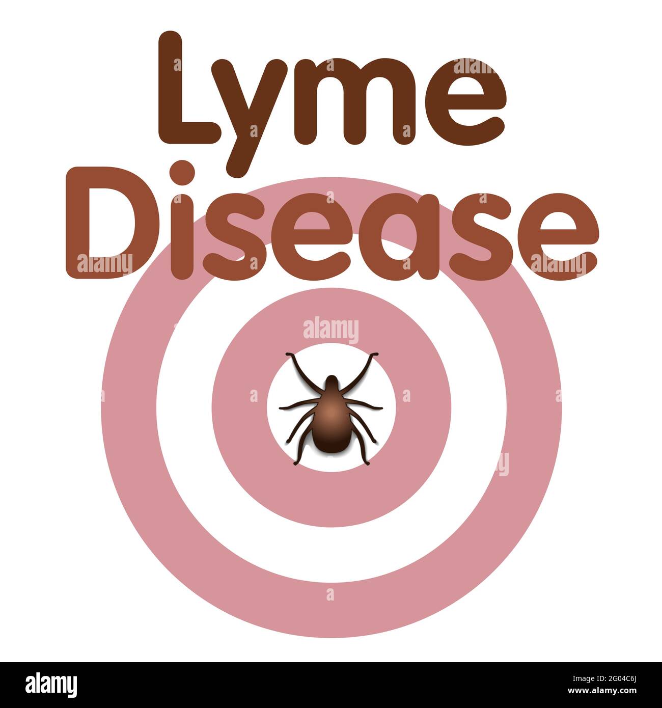 Deer tick bacteria infection hi-res stock photography and images - Alamy