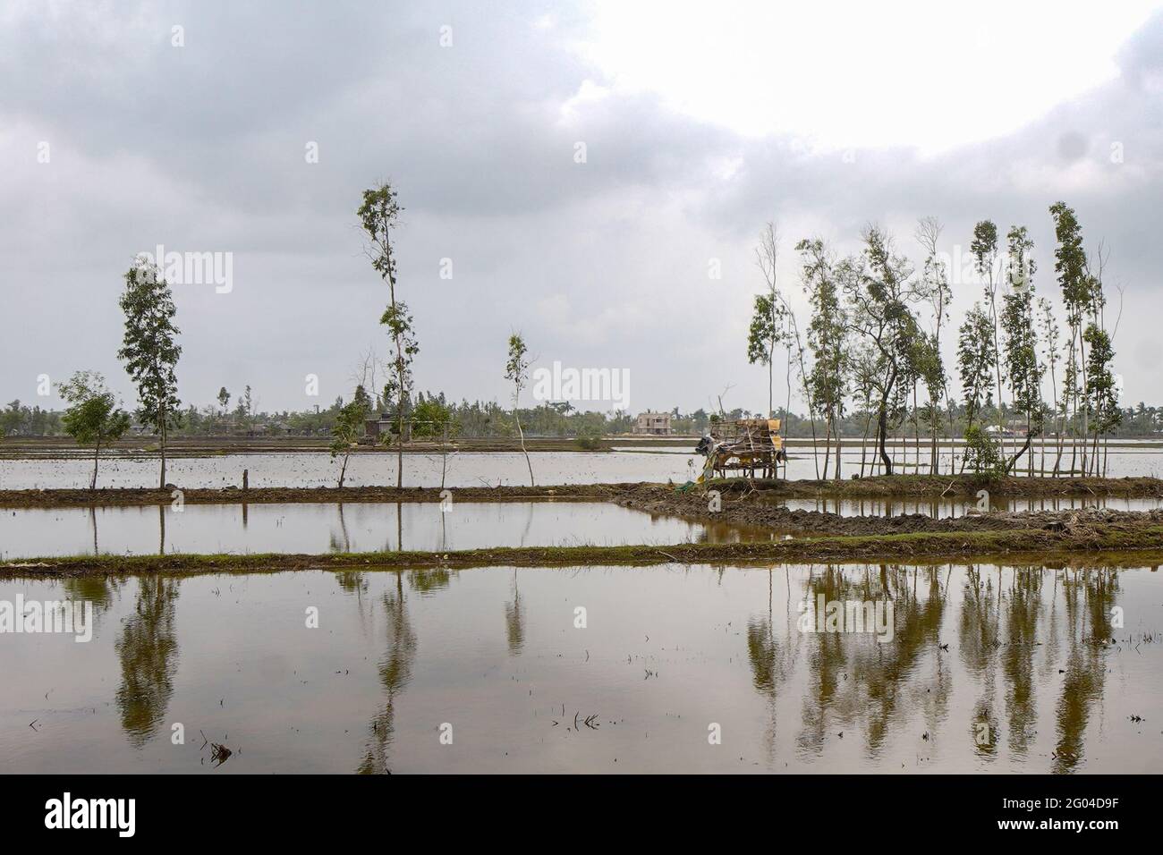 India paddy fields flood hi-res stock photography and images - Alamy