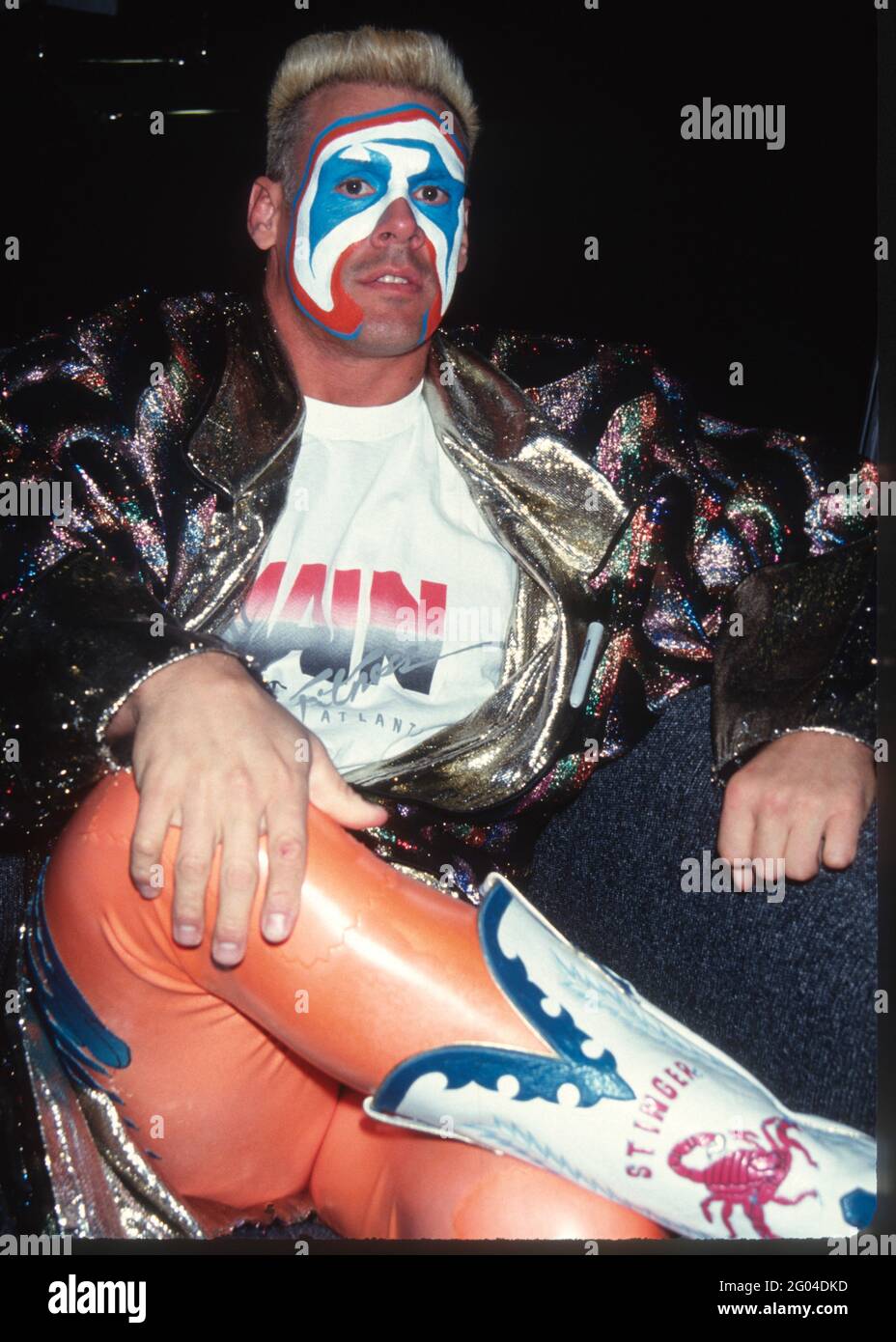 Sting 1991 Photo By John Barrett/PHOTOlink Stock Photo - Alamy