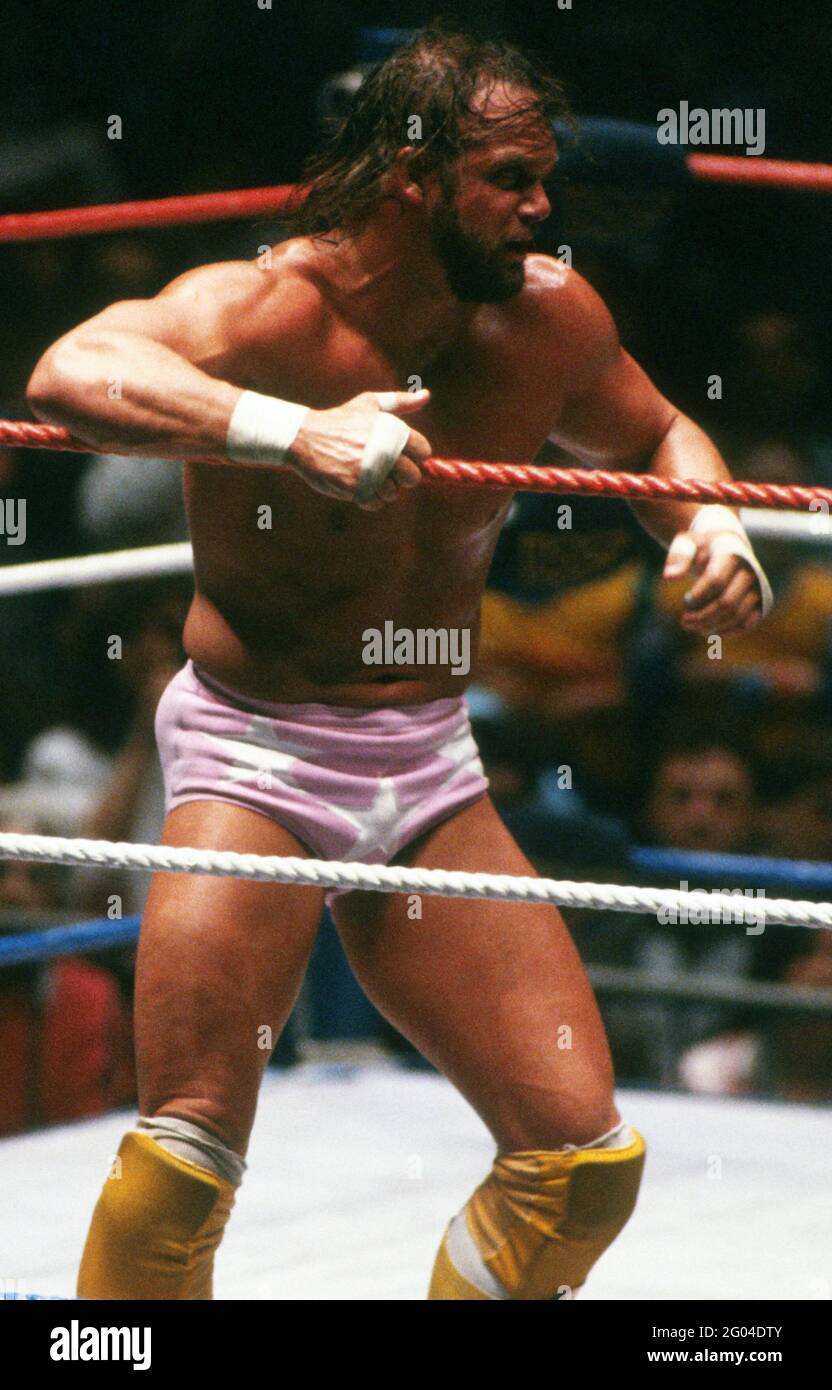 Randy Macho Man Savage 1989 Photo By John Barrett/PHOTOlink Stock Photo ...
