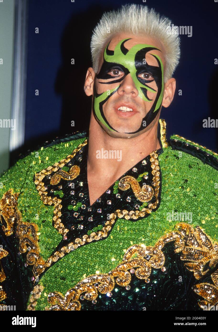 Wcw Sting 1990