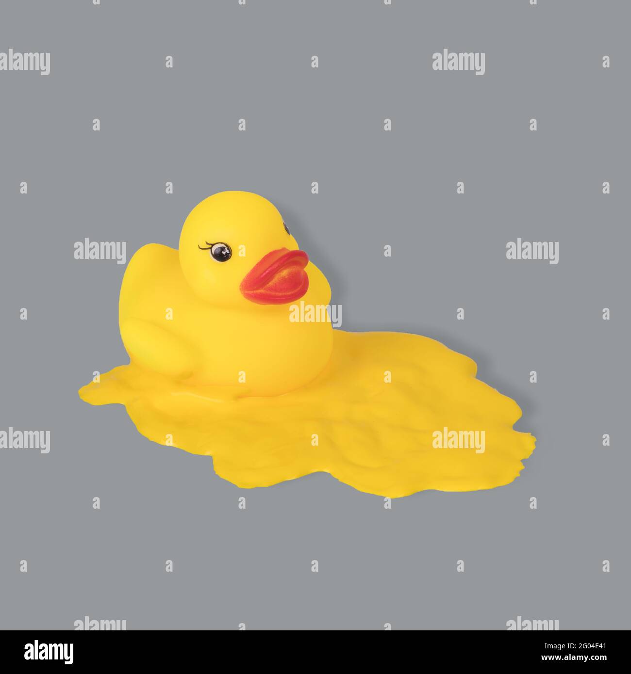 Dripping duck hi-res stock photography and images - Alamy