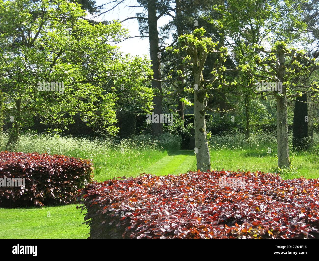 Distinguished designers including Jellicoe, Crowe, Sinclair & Maynard ...