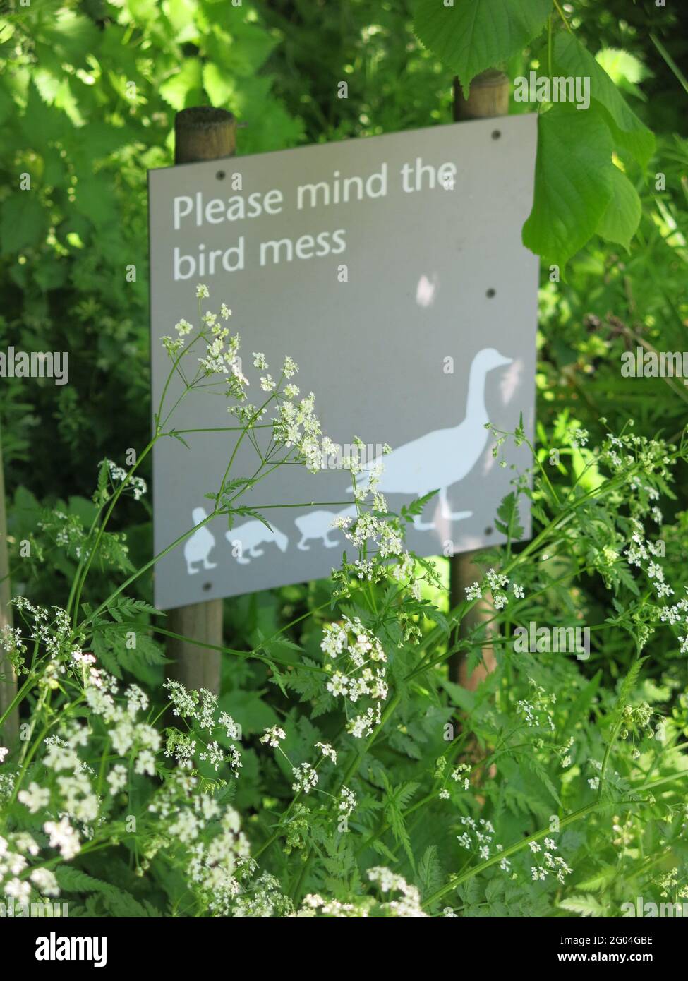 Please mind the bird mess hi-res stock photography and images - Alamy
