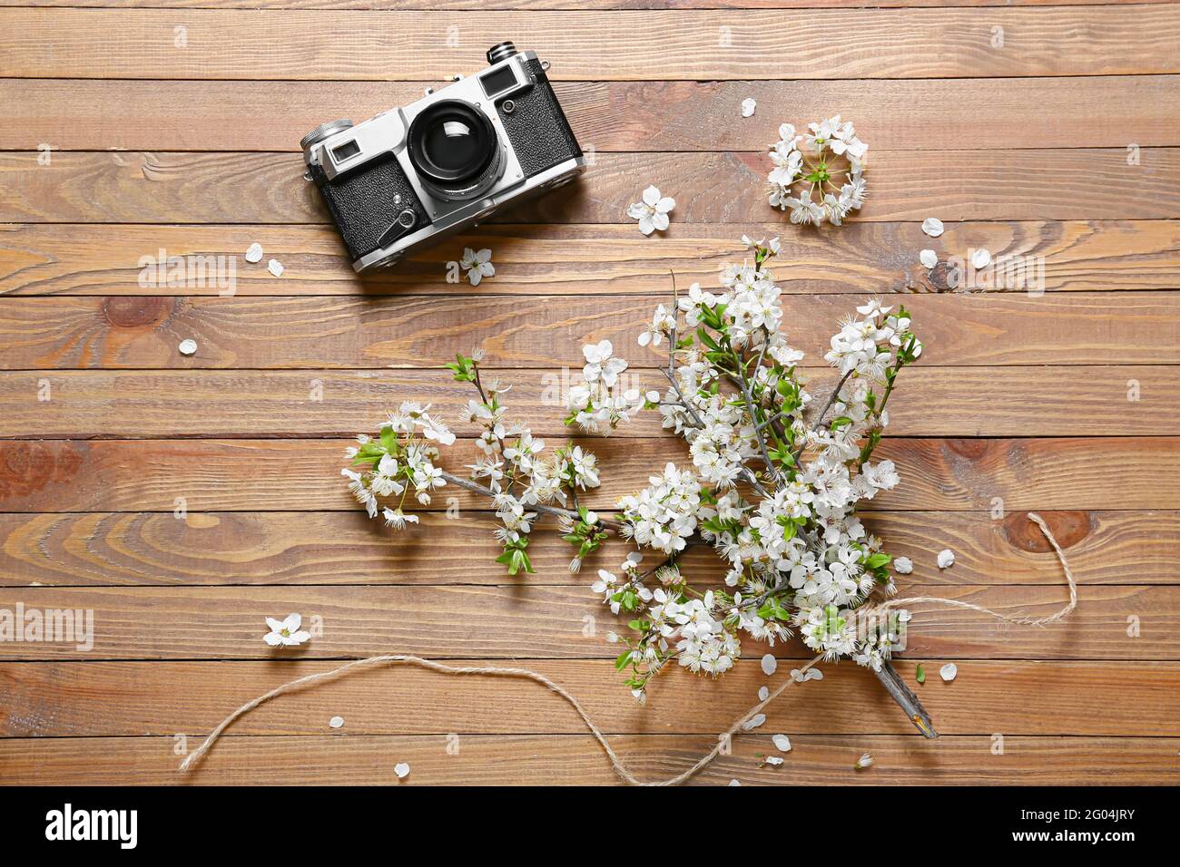 Beautiful blooming branches and photo camera on wooden background Stock ...