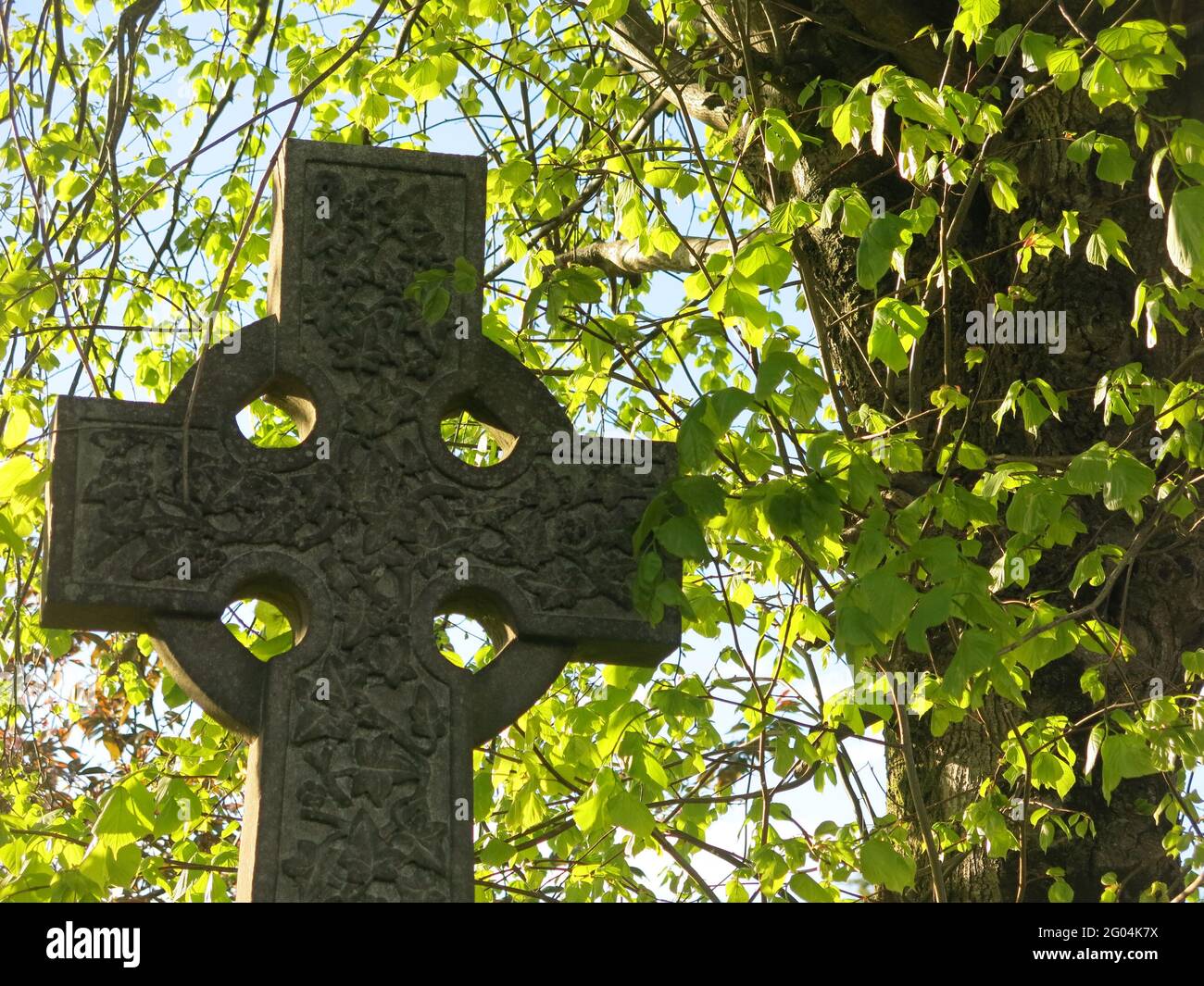 Close-up of the ornate pattern in a stone Celtic cross on a gravestone ...