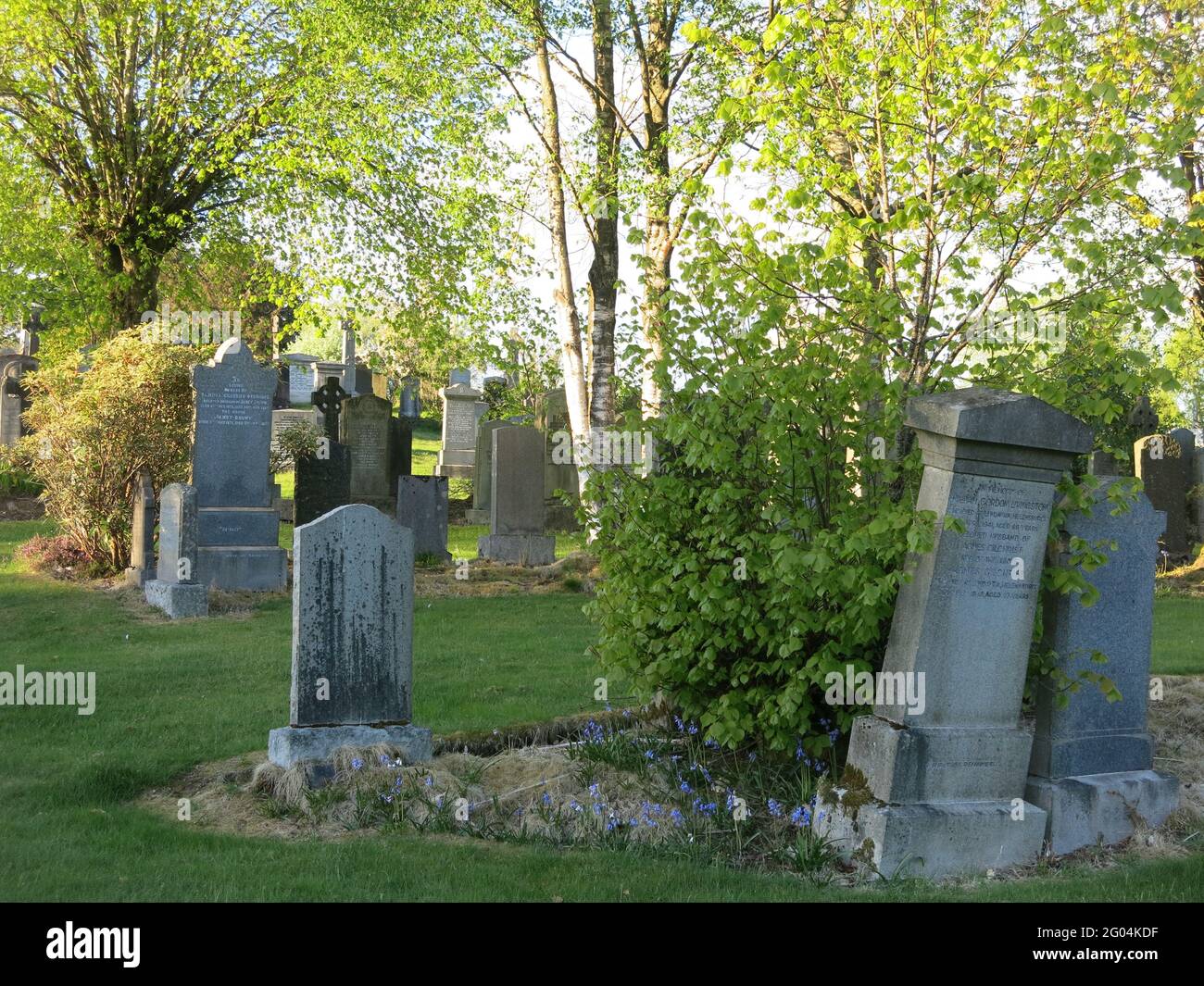 A very beautiful and peaceful final resting place: headstones amongst the trees at New ...