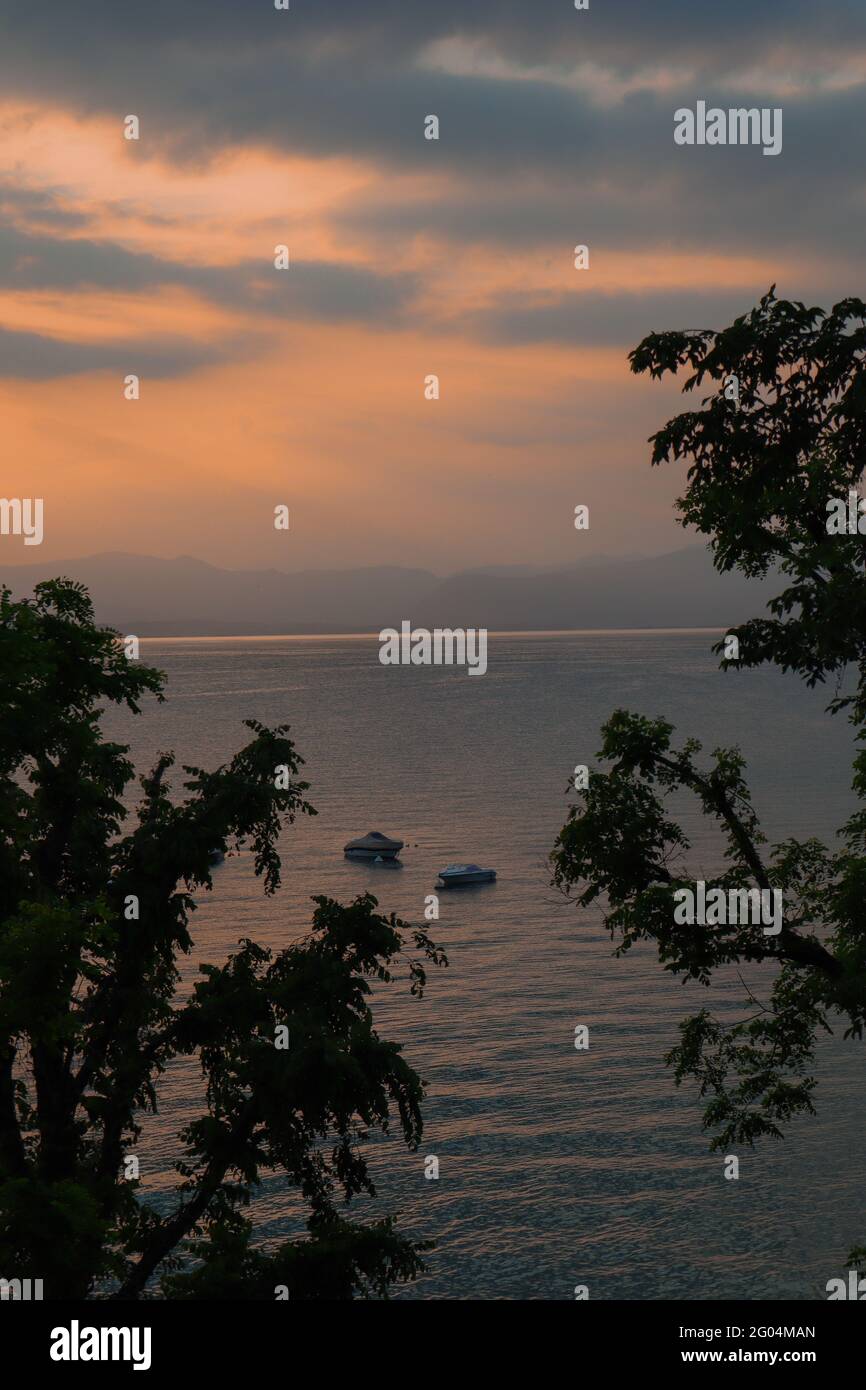 Italy the sun lights the tree hi-res stock photography and images - Alamy