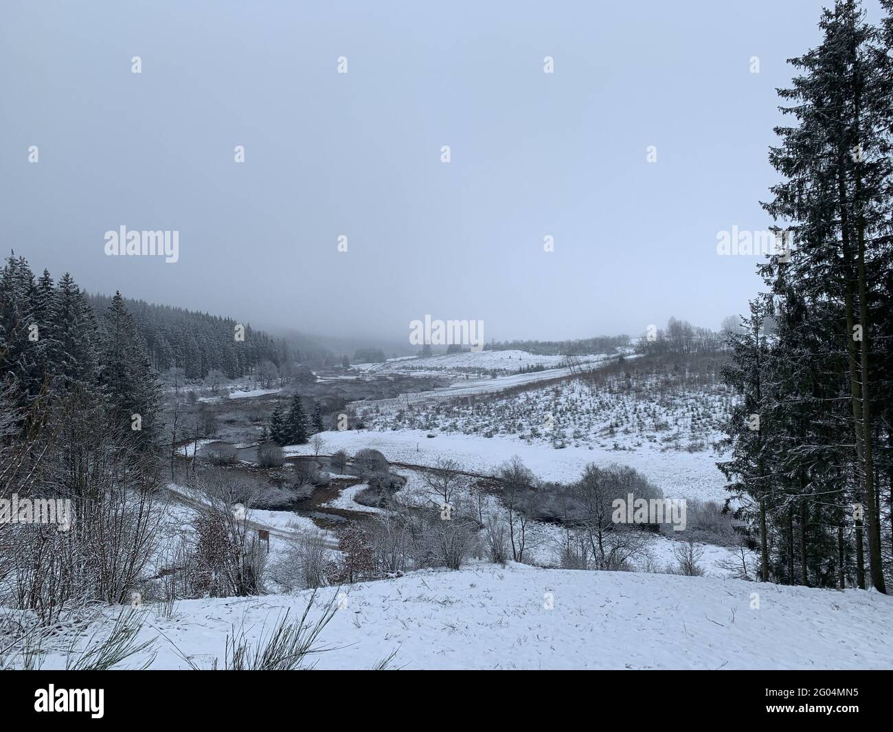 Beautiful view of a winter landscape with a lot of trees under a cloudy ...