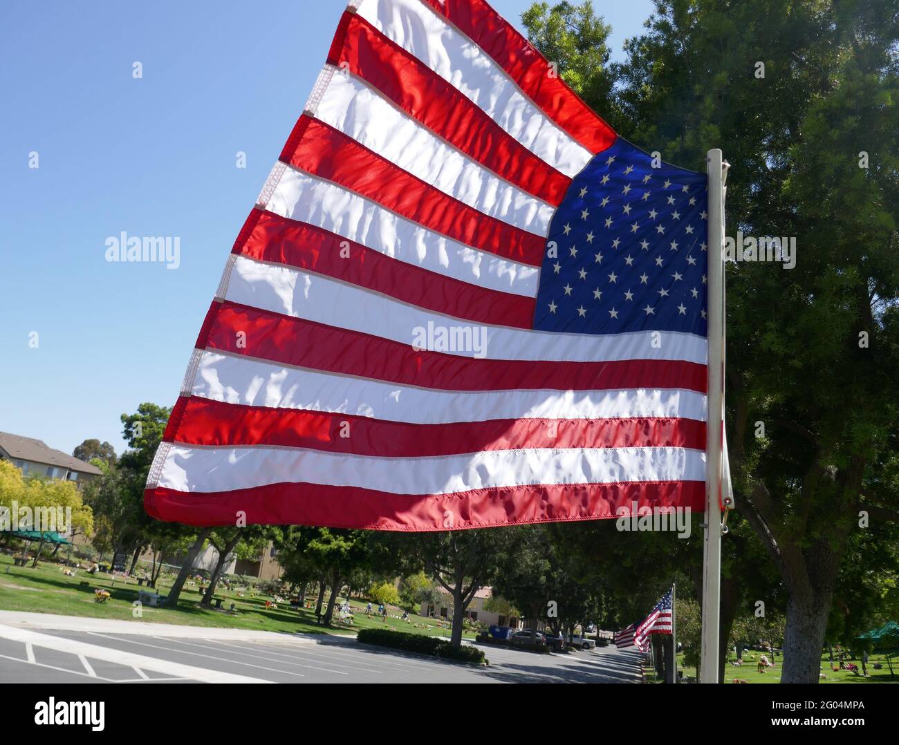 Marjorie stapp hi-res stock photography and images - Alamy