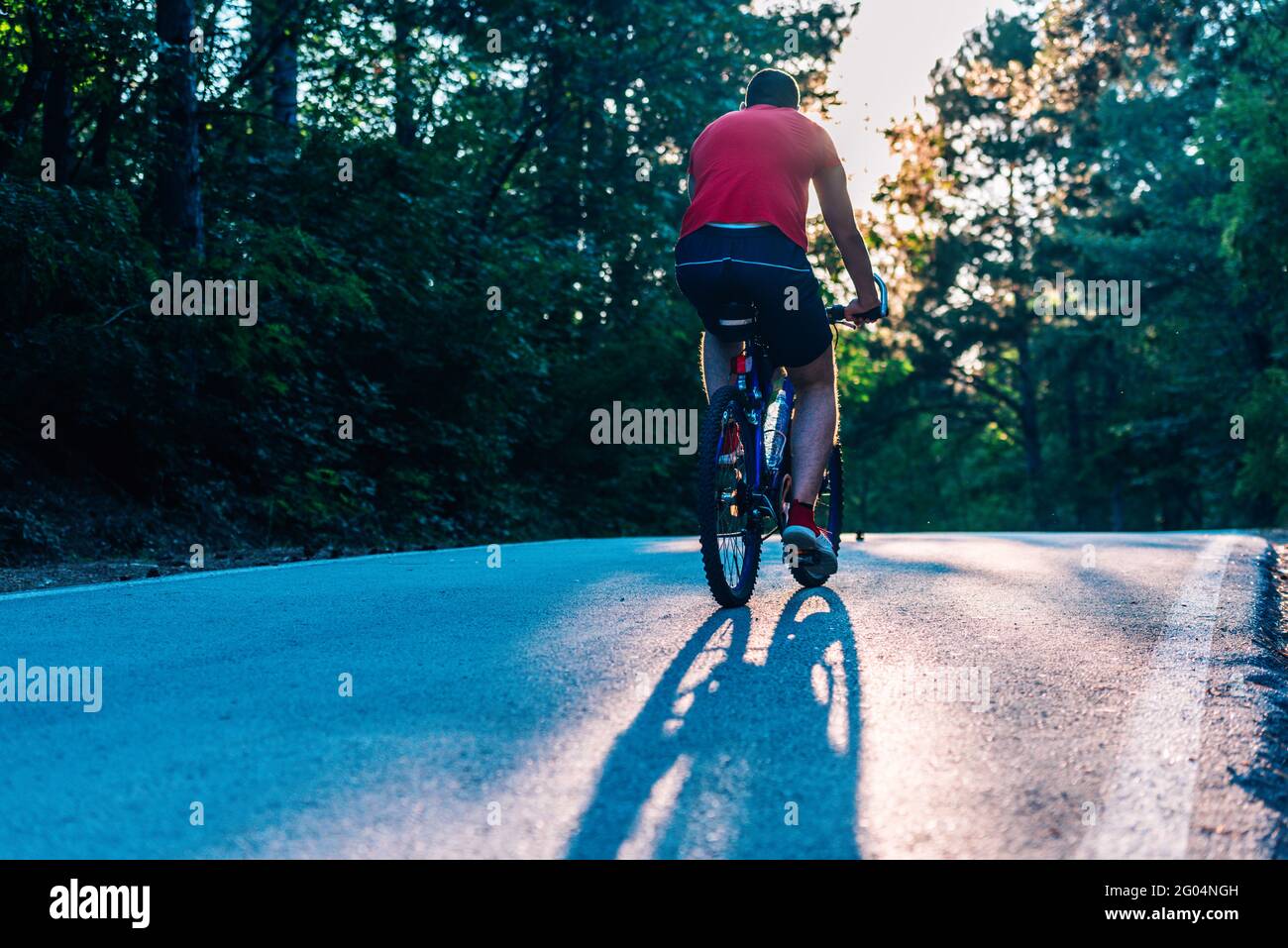 Male cyclist riding his bike on sunset on a road through deep woods ...